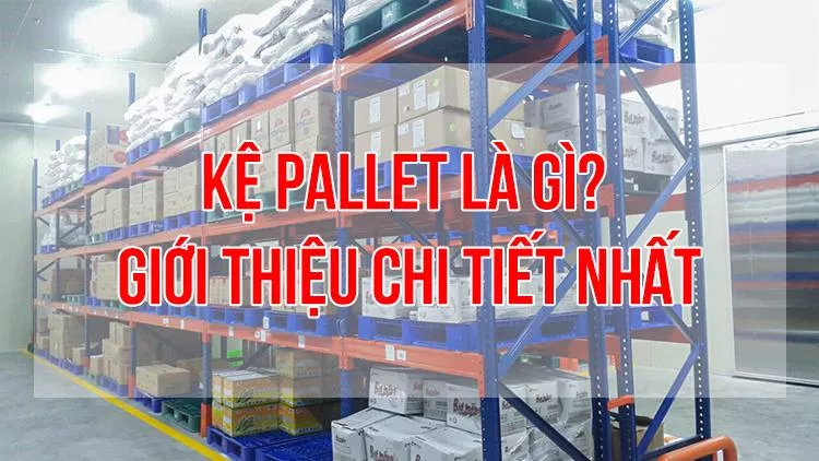 Kệ pallet là gì và ứng dụng cấu tạo phân loại chi tiết nhất